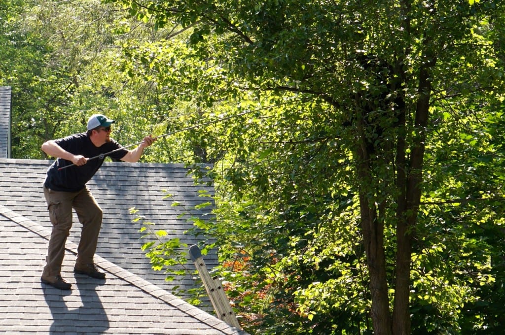 Bear Removed from West Hartford Yard - We-Ha | West Hartford News