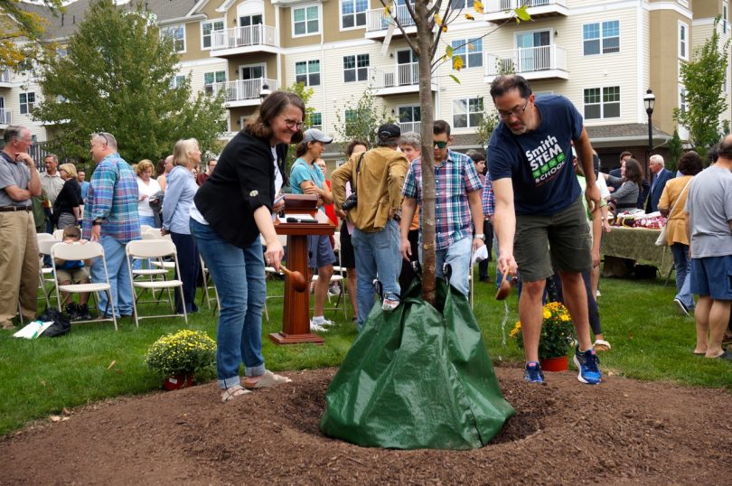 'Tracey's Tree' Dedicated in Honor of West Hartford Historian and ...