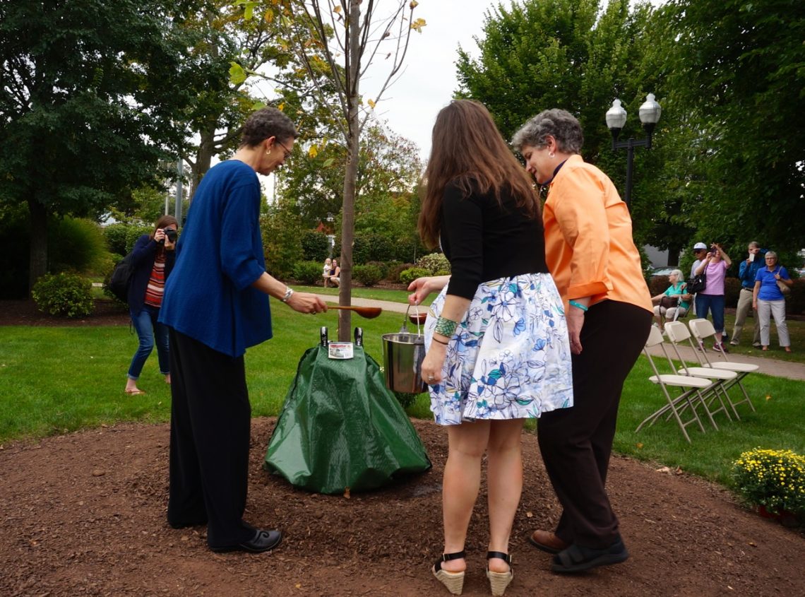 Tracey Wilson, West Hartford Historian, Retired Educator, Activist, Has ...