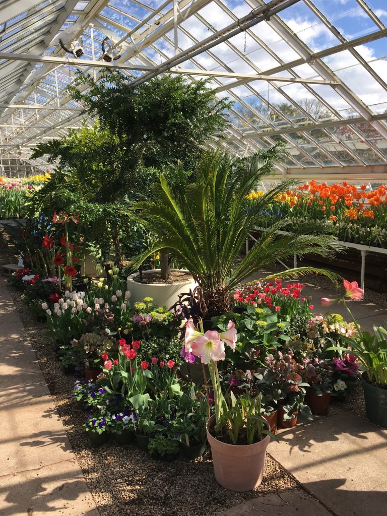 Greenhouse Show Display - We-Ha | West Hartford News