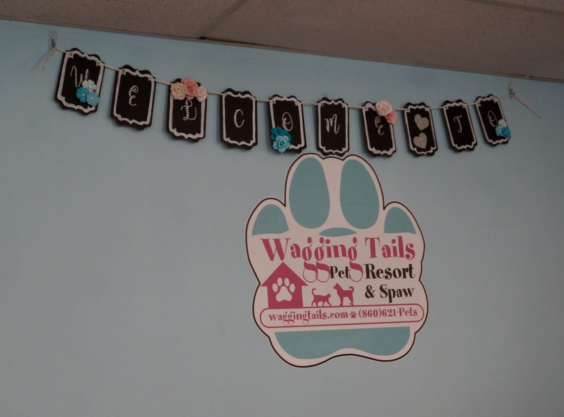 Wagging Tails West Hartford