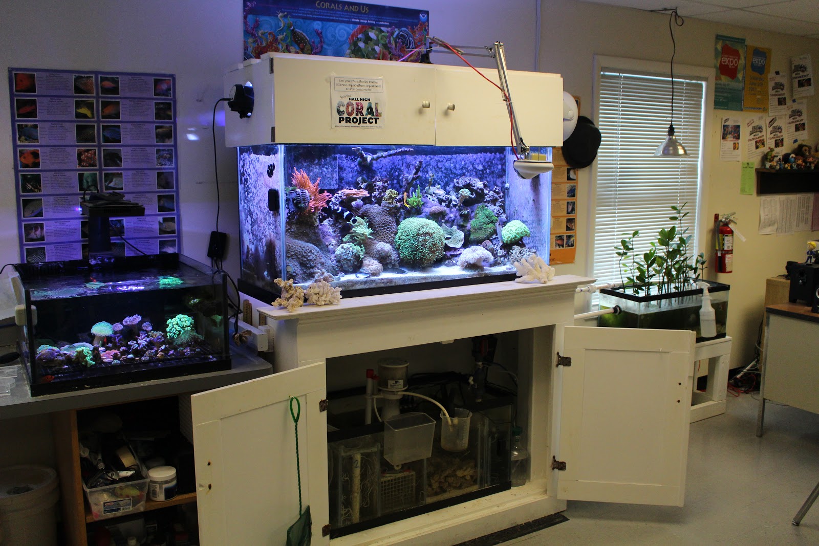 Experience Virtual Reality and More at Hall High School 'Ocean Night ...