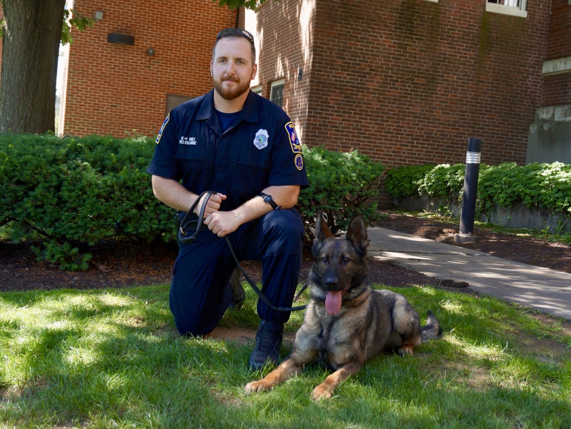 West Hartford K-9 Unit to Receive Two Newly-Trained Dogs Thanks to ...