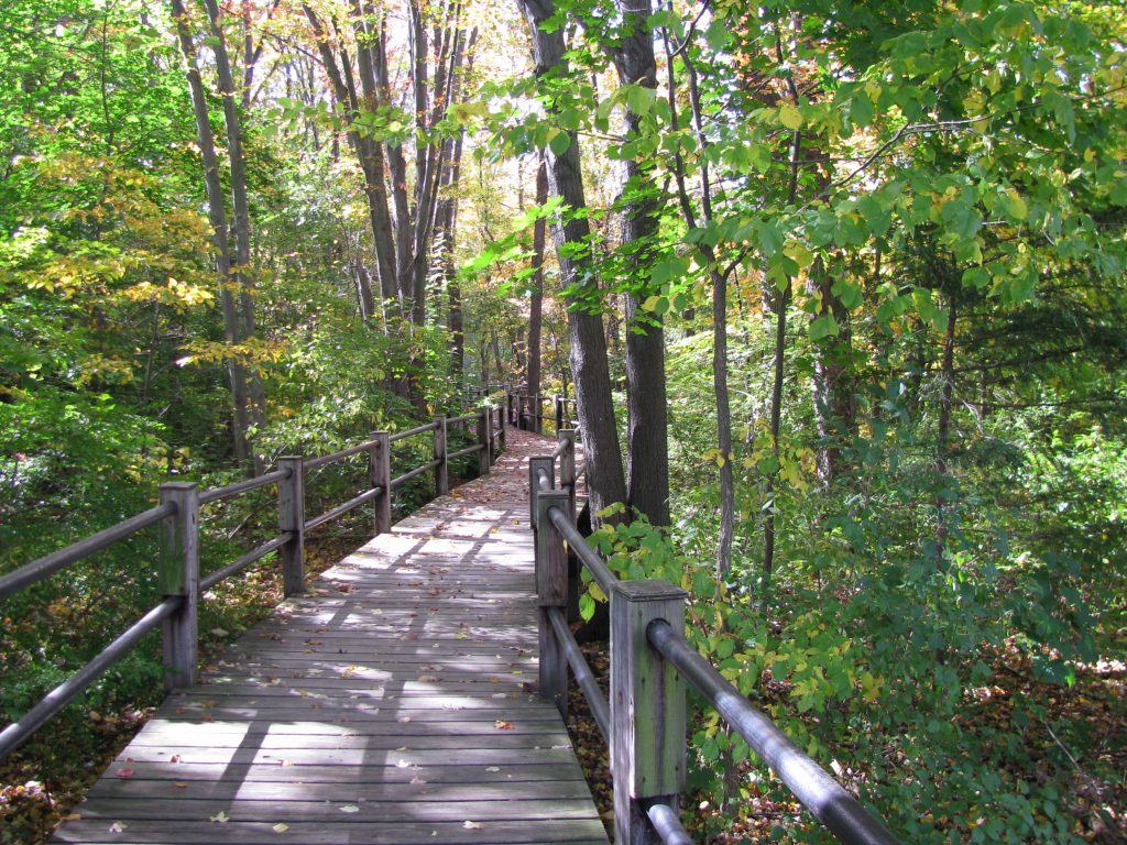 Boardwalk Trail - We-Ha | West Hartford News