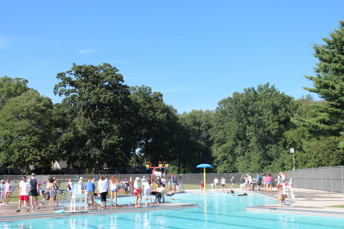 Annual Pooch Plunge Brings Together West Hartford Dogs of All Sizes and ...