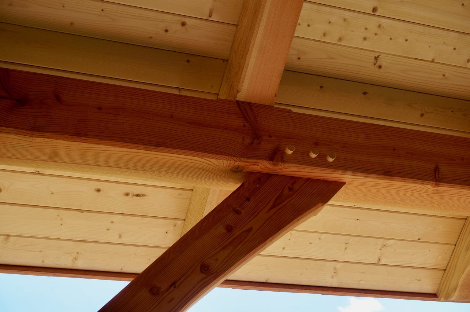 Outdoor Classroom at Westmoor Park Officially Opens, Honors Memory of ...