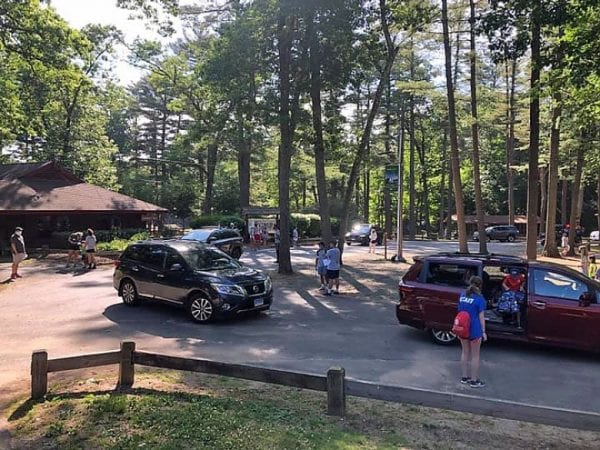 Summer Camps Prepare a Safe Splash of ‘Normal’ - We-Ha | West Hartford News