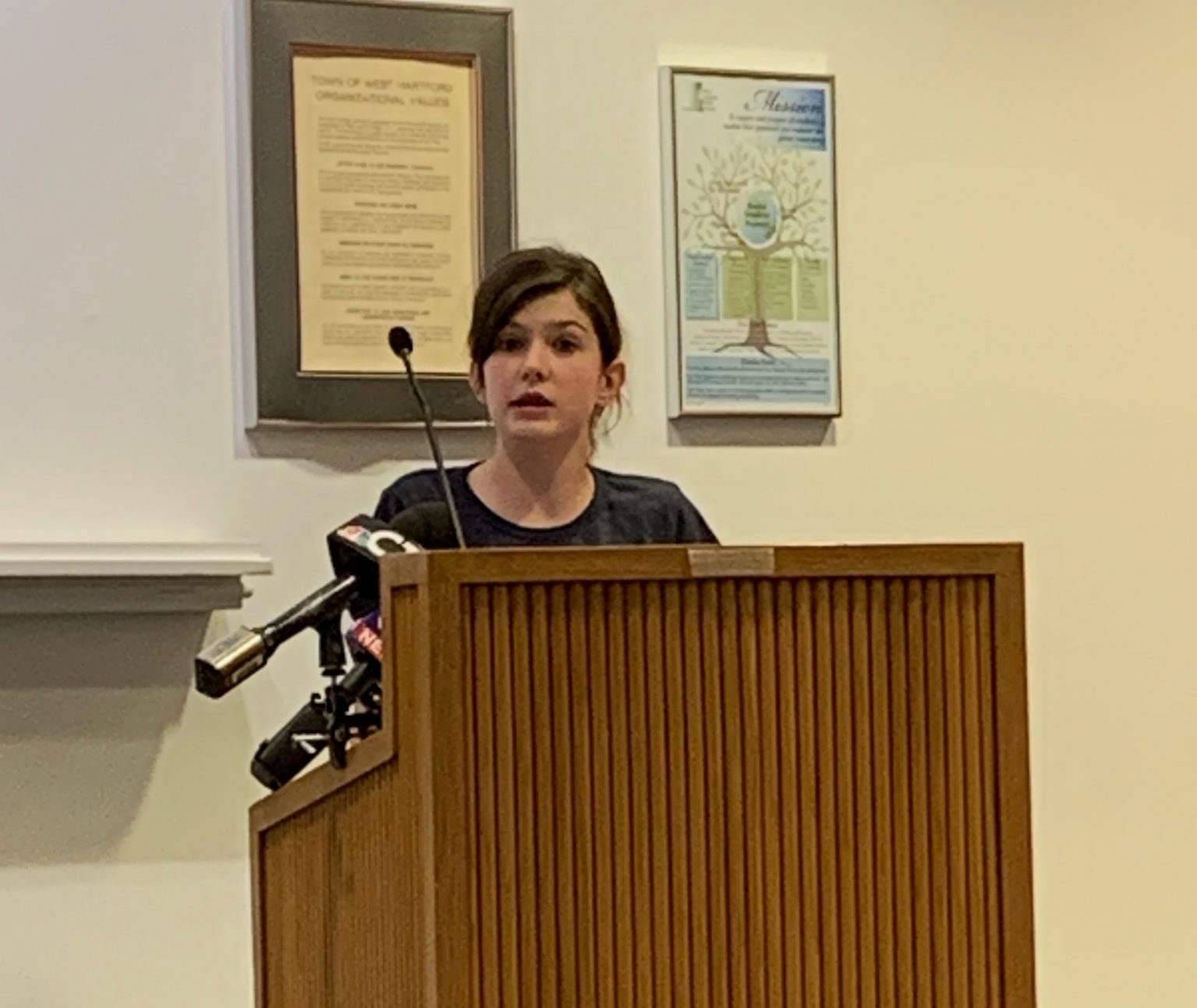 Three West Hartford Students Find Success at State National History Day ...