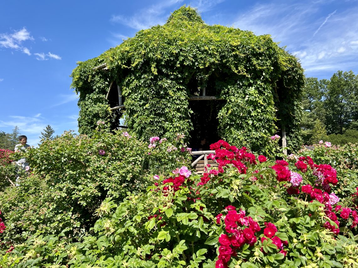 Elizabeth Park Celebrating 125th Anniversary - We-Ha | West Hartford News