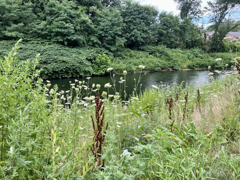 New Section of Trout Brook Trail Officially Opens - We-Ha | West ...