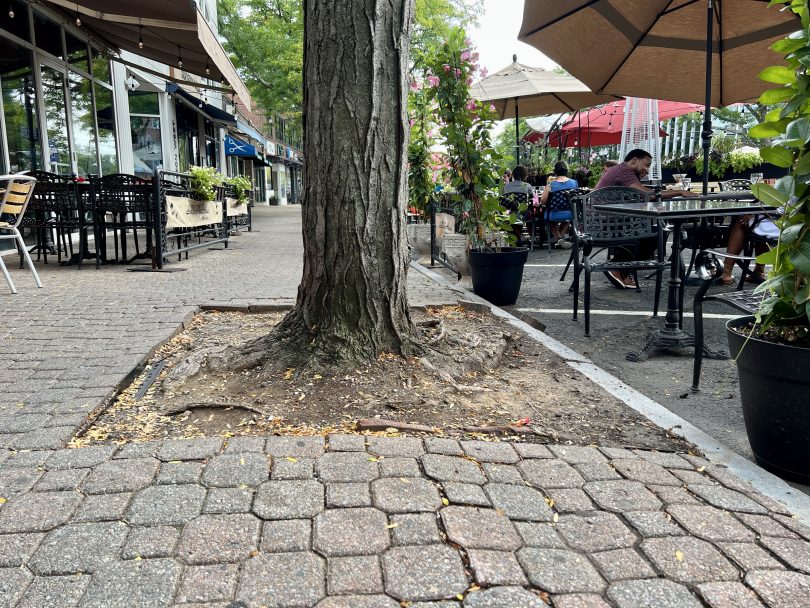 Mobility Hubs, Safer Sidewalks, Pedestrian Crossings Key Elements of ...