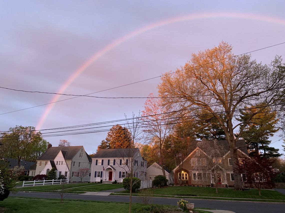 Residents Can Receive Trees Through the 'West Hartford Tree Project ...