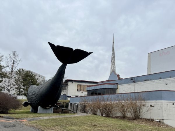 Tale of West Hartford's Whale Becomes the Tail - We-Ha | West Hartford News