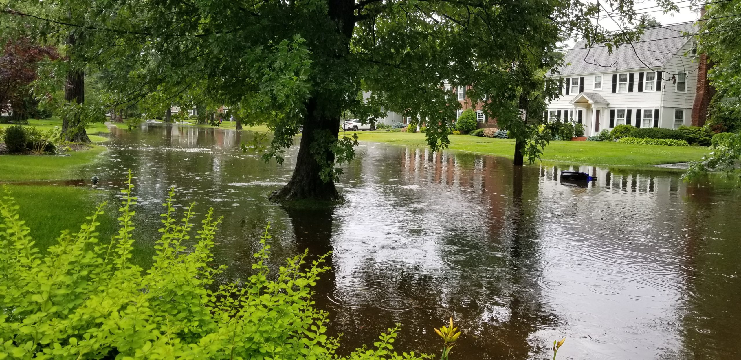 20230704_132102 - We-Ha | West Hartford News