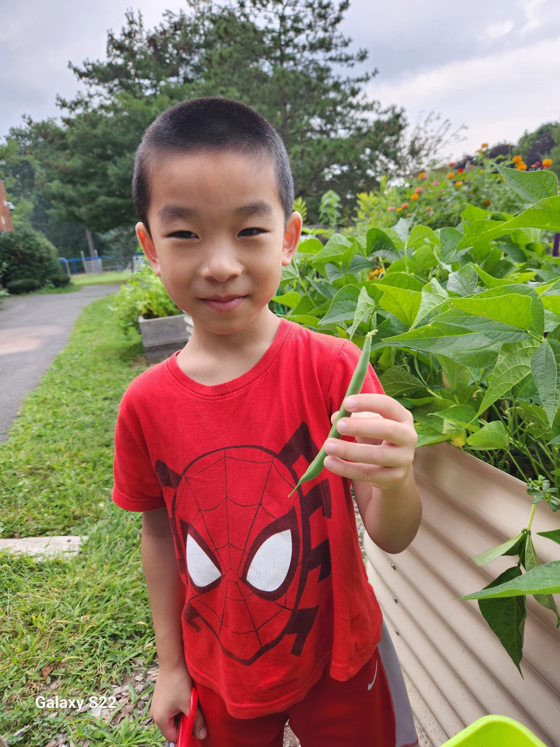 Bean - We-Ha | West Hartford News