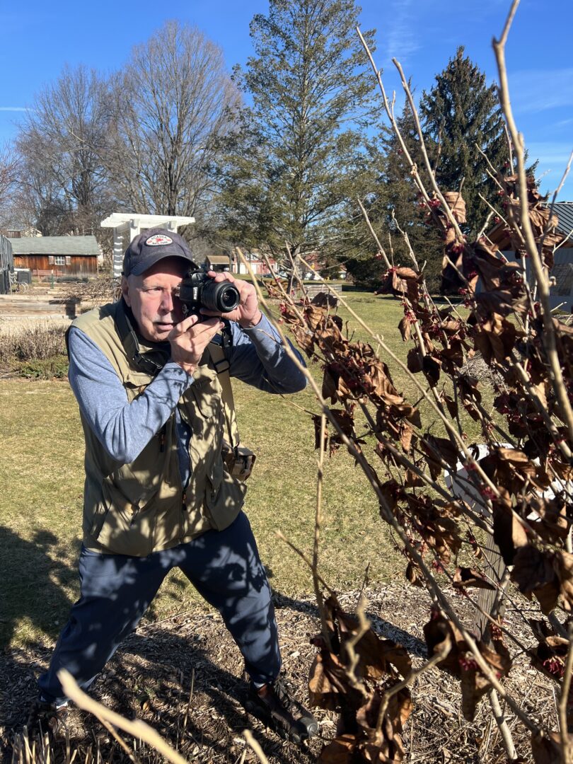 Seeing the Trees for the Forest - We-Ha | West Hartford News