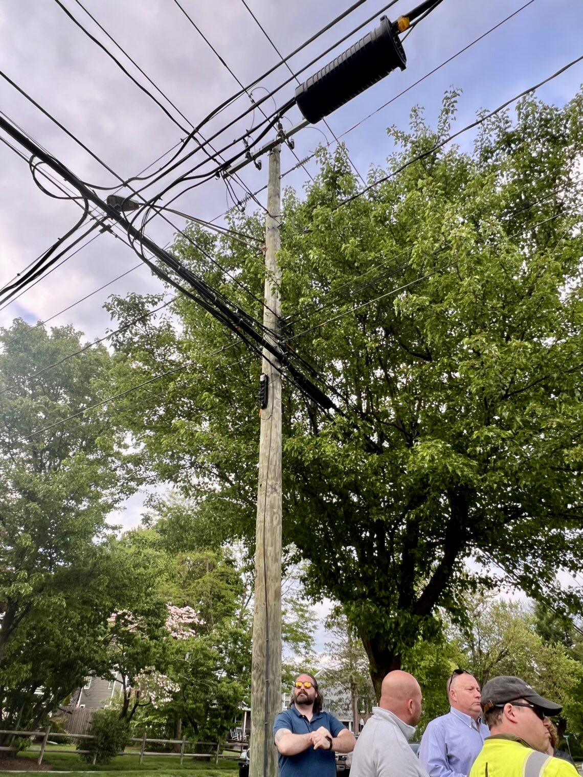 West Hartford Tree Warden Boulevard Trees To Remain We Ha West