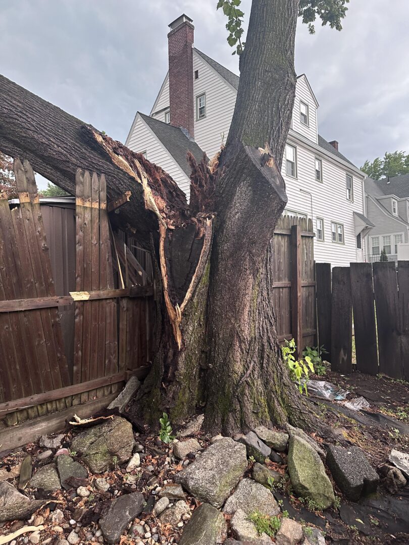 Strong Storms Take Down Trees and Power Lines in West Hartford - We-Ha | West Hartford News