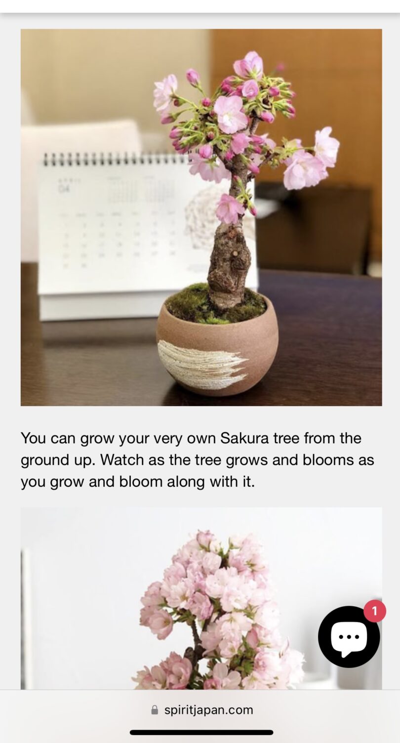 Consumer Diary: Bonsai Order Scam - We-Ha | West Hartford News