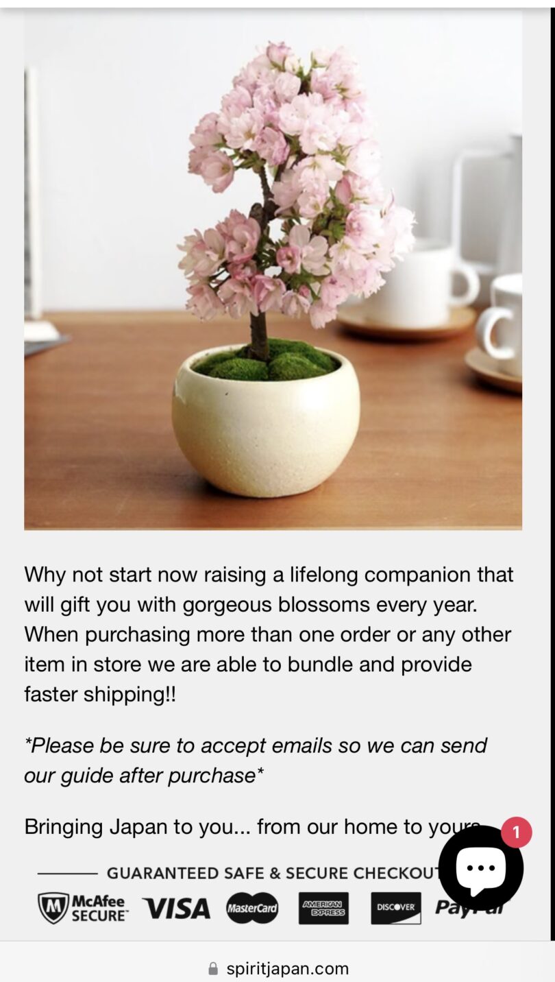 Consumer Diary: Bonsai Order Scam - We-Ha | West Hartford News