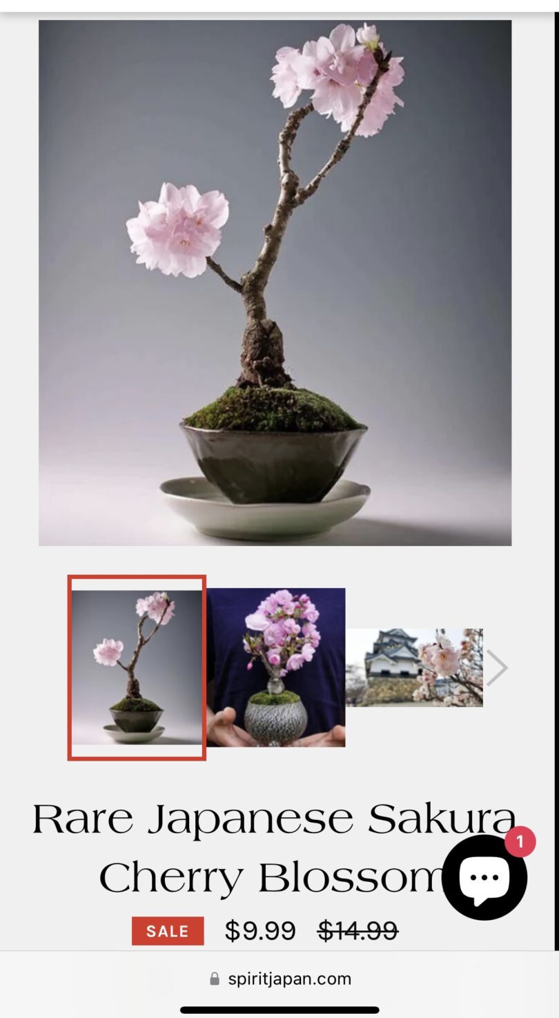 Consumer Diary: Bonsai Order Scam - We-Ha | West Hartford News