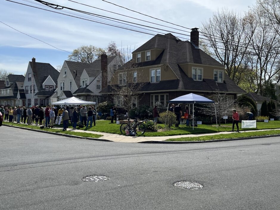 West Hartford Tree Project Gearing Up for Fifth Year - We-Ha | West ...