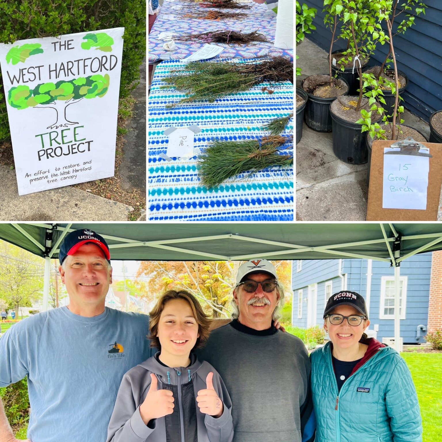 West Hartford Tree Project Gearing Up for Fifth Year - We-Ha | West ...