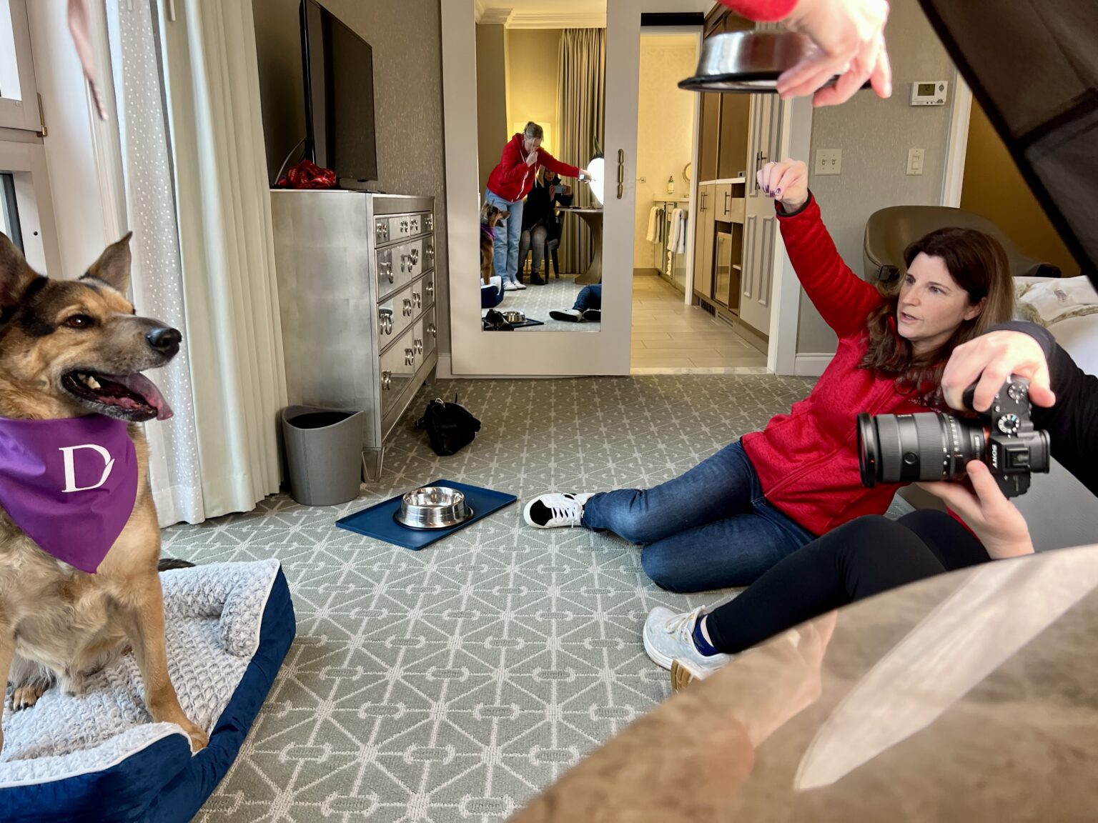 Paw Print Studio, Dog Star Rescue, and Delamar Helping Pups Put Best ...