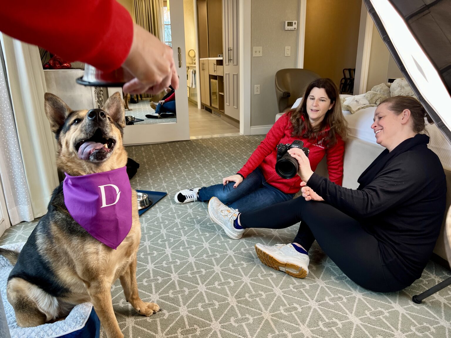 Paw Print Studio, Dog Star Rescue, and Delamar Helping Pups Put Best ...