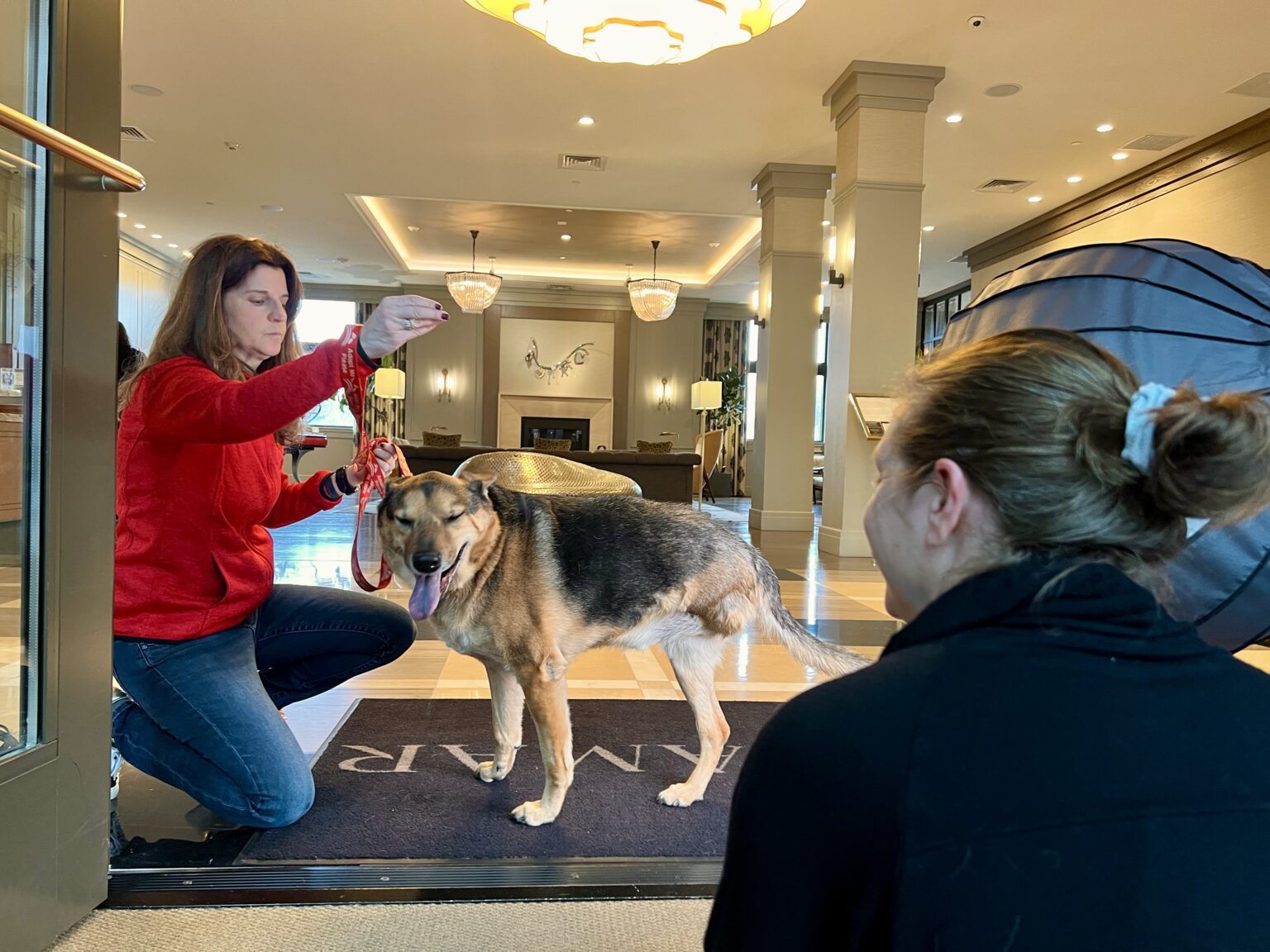 Paw Print Studio, Dog Star Rescue, and Delamar Helping Pups Put Best ...