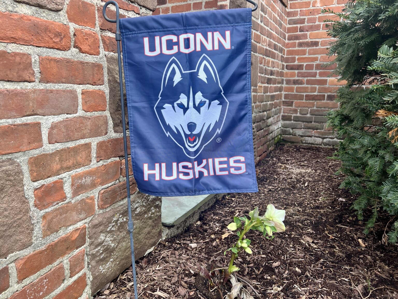 West Hartford Business Buzz: April 7, 2025 - We-Ha | West Hartford News