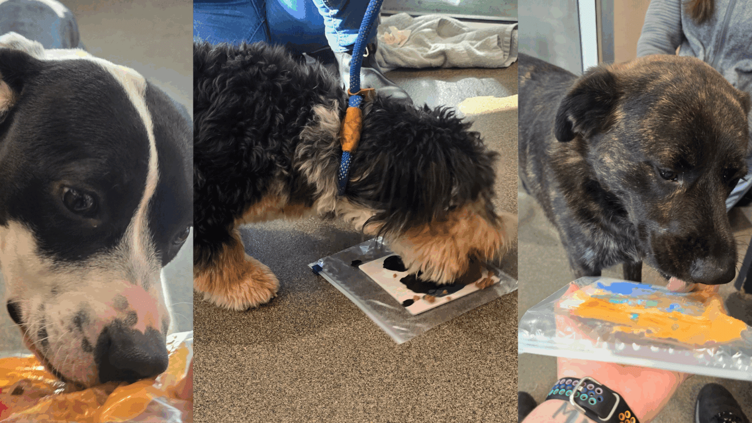 Mandell JCC Announces Grand Opening Celebration of 'Under One Roof ...